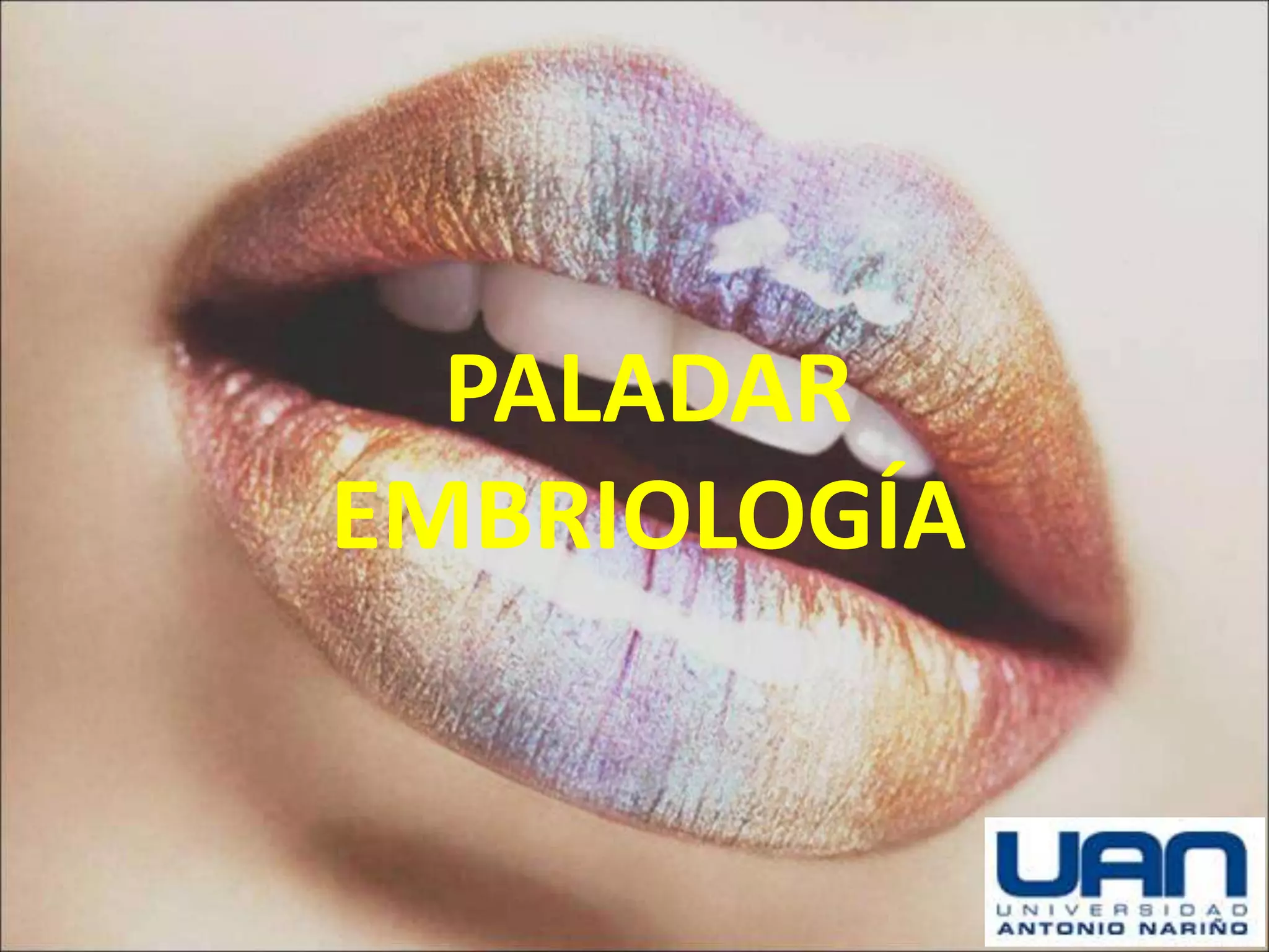 Labios y Paladar (anatomia)normal y fisurado | PPSX