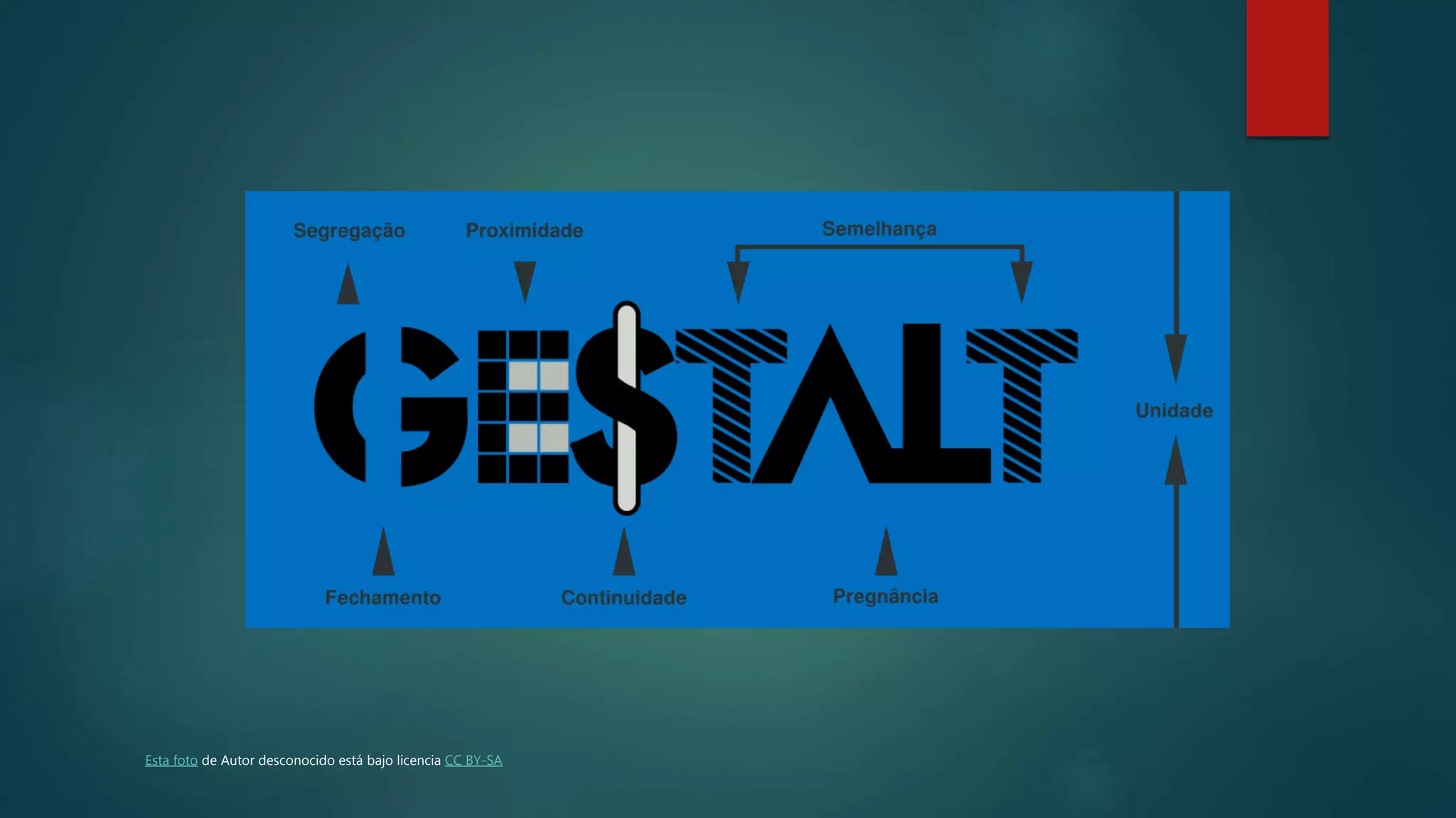 Presentación leyes de la gestalt e iluciones opticas | PPTX