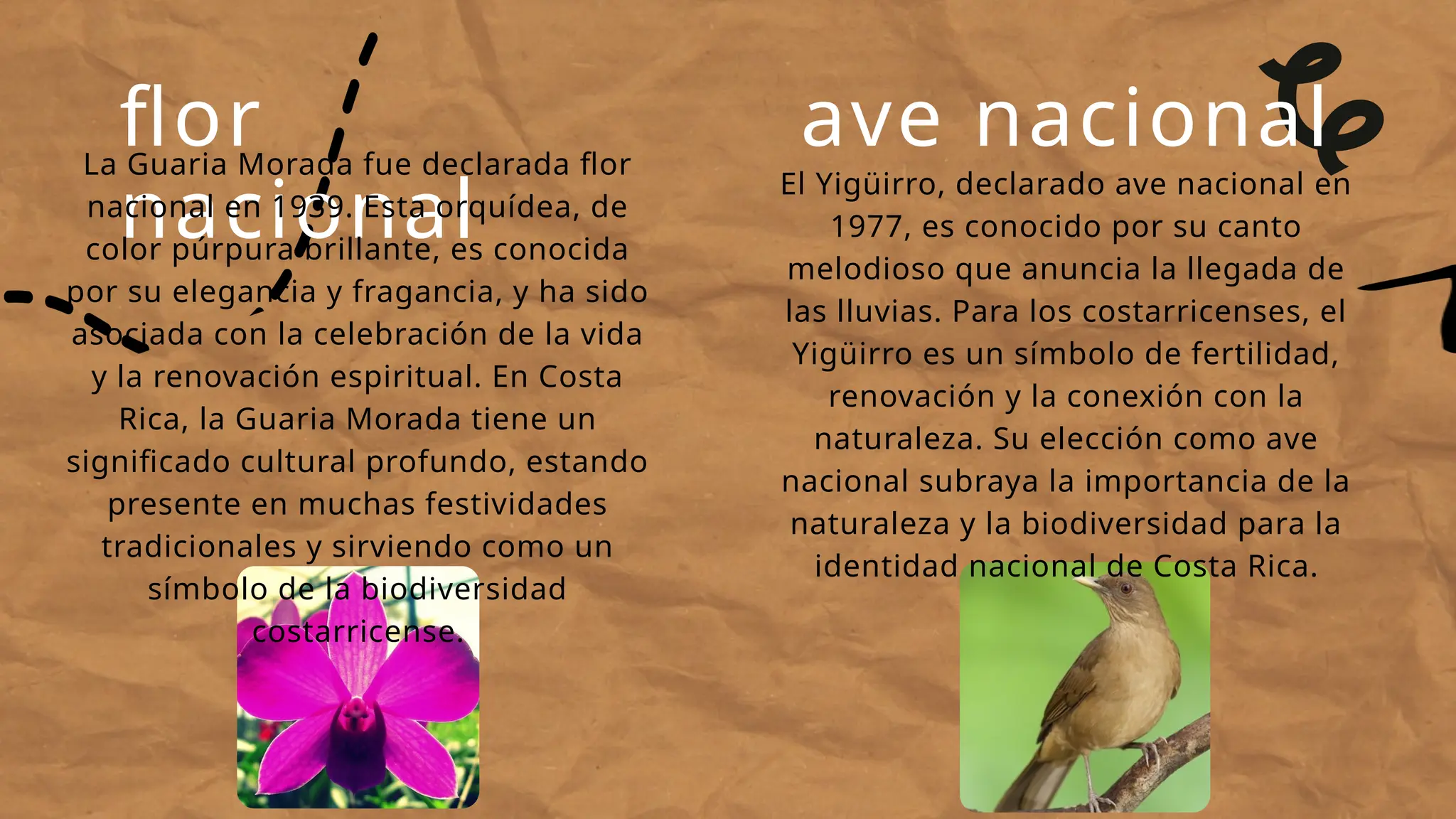 flora y fauna de paises de centro américa | PPTX