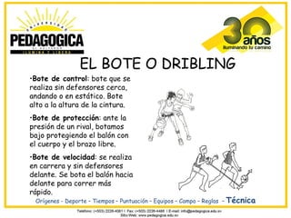 Baloncesto - Técnica individual | PDF