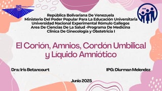 Corion, cordon umbilical, amnios y liquido amniótico.pdf