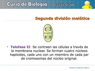 PresentacióN Meiosis | PPS