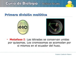 PresentacióN Meiosis | PPS