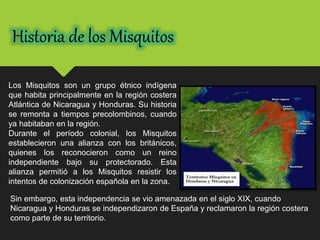 Presentación Misquitos Trabajo Universitario.pptx
