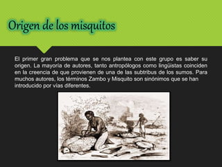 Presentación Misquitos Trabajo Universitario.pptx