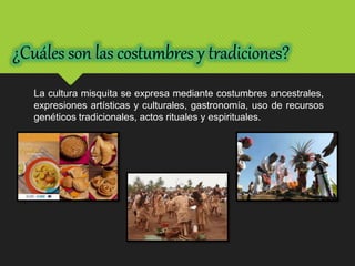 Presentación Misquitos Trabajo Universitario.pptx