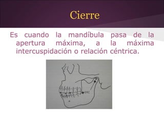 Presentación movimientos mandibulares | PPT