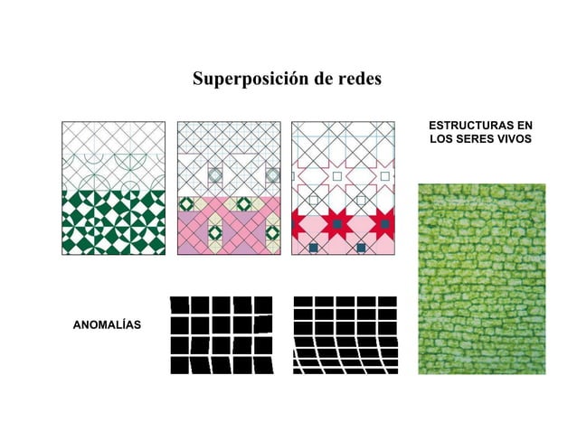 Les xarxes modulars | PPT