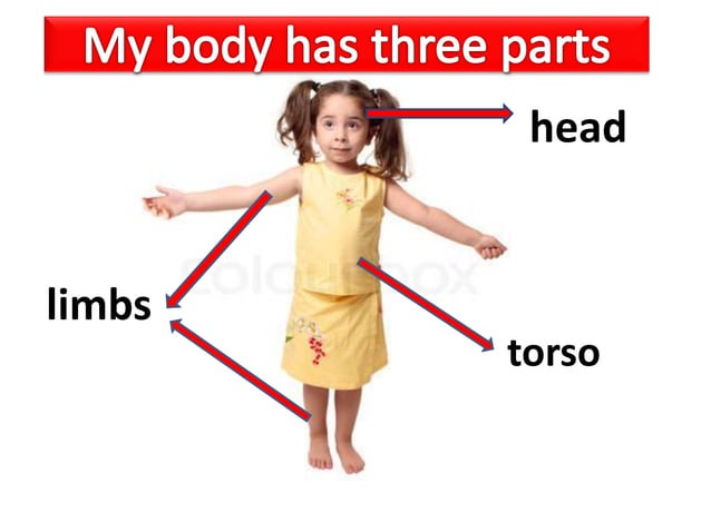 My body! | PPTX