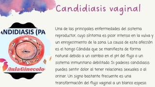 Patologías del sistema reproductor femenino | PDF