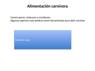 Presentación_Nutrias de nutrias para niños | PPTX