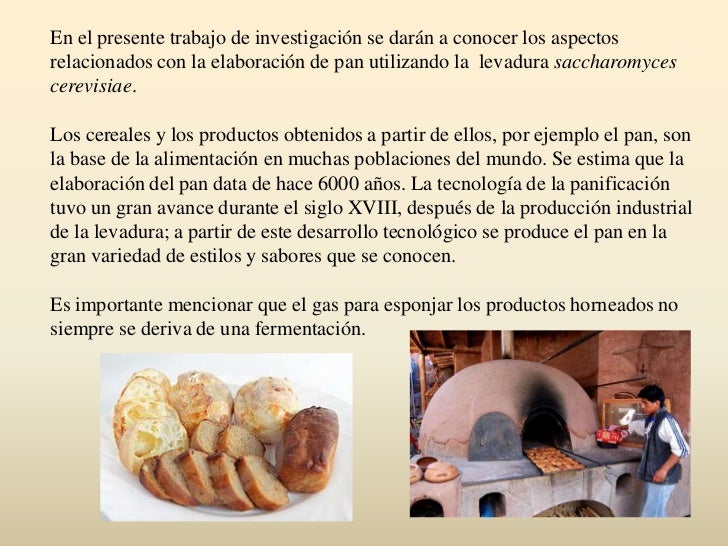 Presentación pan