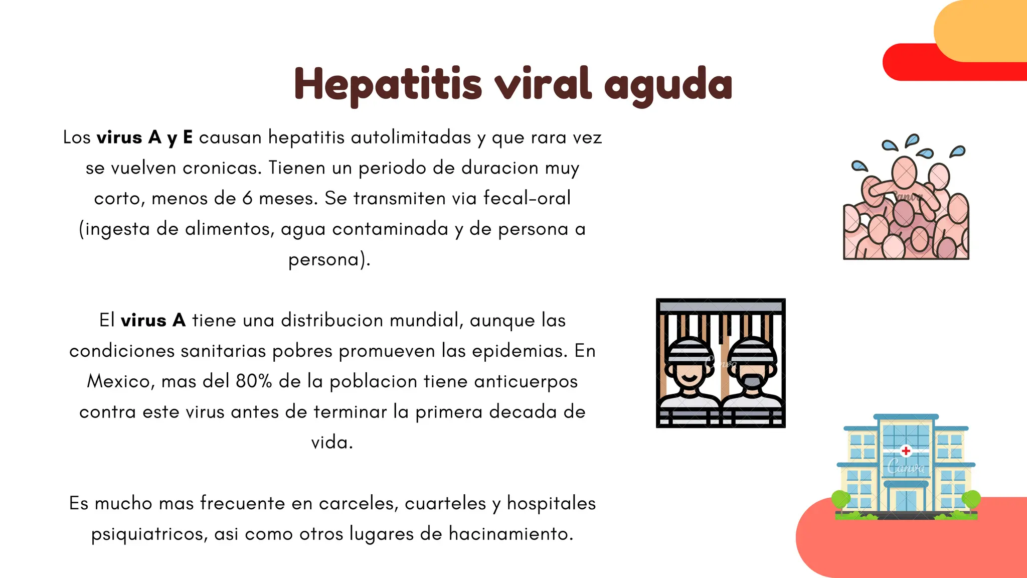hepatitis virales en el contexto de medicina | PDF