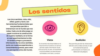 Presentación percepcion en psicología -.pptx
