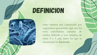 Reino Monera.pptx