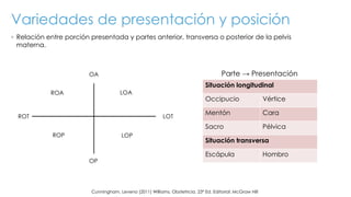 Presentación, posición y situación fetal | PDF