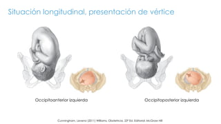 Presentación, posición y situación fetal | PDF