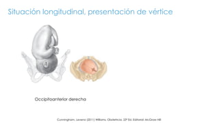 Presentación, posición y situación fetal | PDF