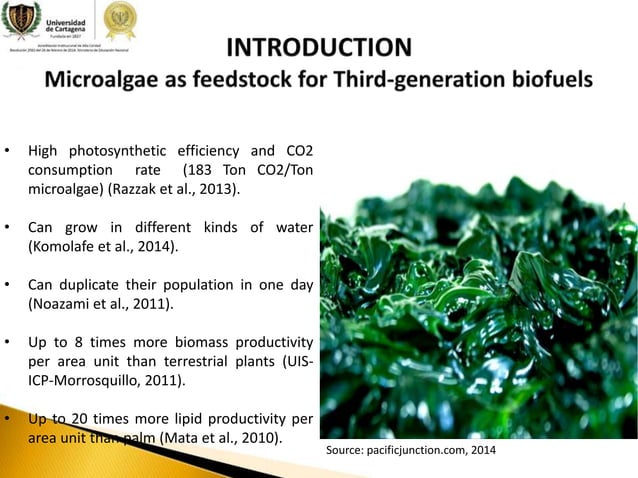 Biodiesel from microalgae: A chemical process approach | PPT