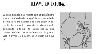 presentacion pelvis ginecologia y obstetricia | PDF