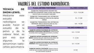 presentacion pelvis ginecologia y obstetricia | PDF