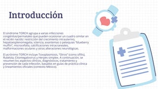TORCH (TOXOPLASMOSIS, OTROS, RUBEOLA CONGÉNITA, CITOMEGALOVIRUS (CMV ...