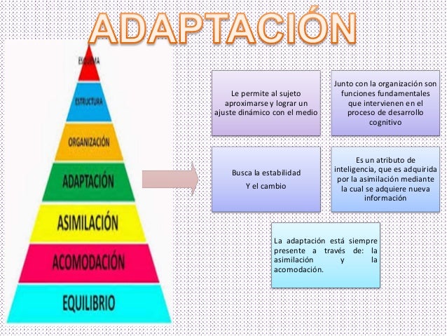 Presentación psicosocial piaget