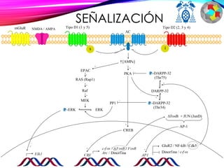 DeltaFosB como diana terapéutica teórica en el tratamiento para la ...
