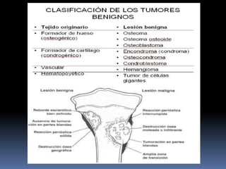 Radiología: Lesiones benignas (En torus palatino) | PPTX