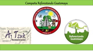 Presentación REFCA 2023.pptx