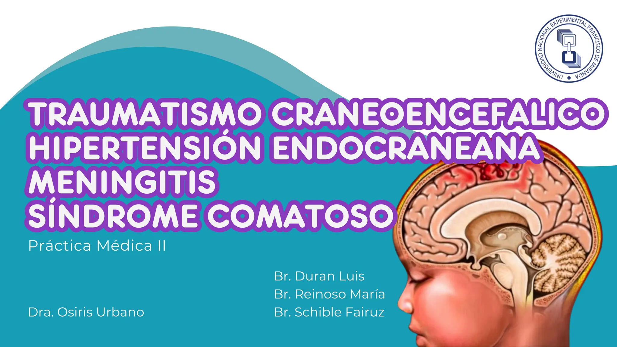 Traumatismo Craneoencefalitoc, HEC, meningitis, Sx comatoso | PDF