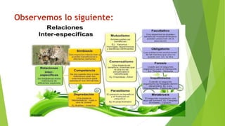 Presentación relaciones de los seres vivos en los ecosistemas.pptx