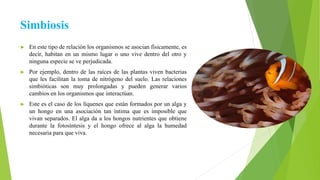 Presentación relaciones de los seres vivos en los ecosistemas.pptx
