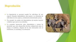 Presentación relaciones de los seres vivos en los ecosistemas.pptx