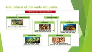 Presentación relaciones de los seres vivos en los ecosistemas.pptx
