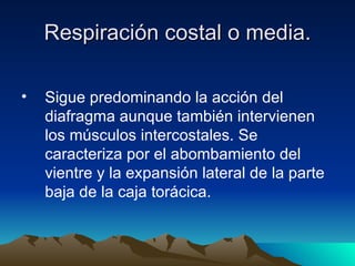 Tipos de respiración | PPT