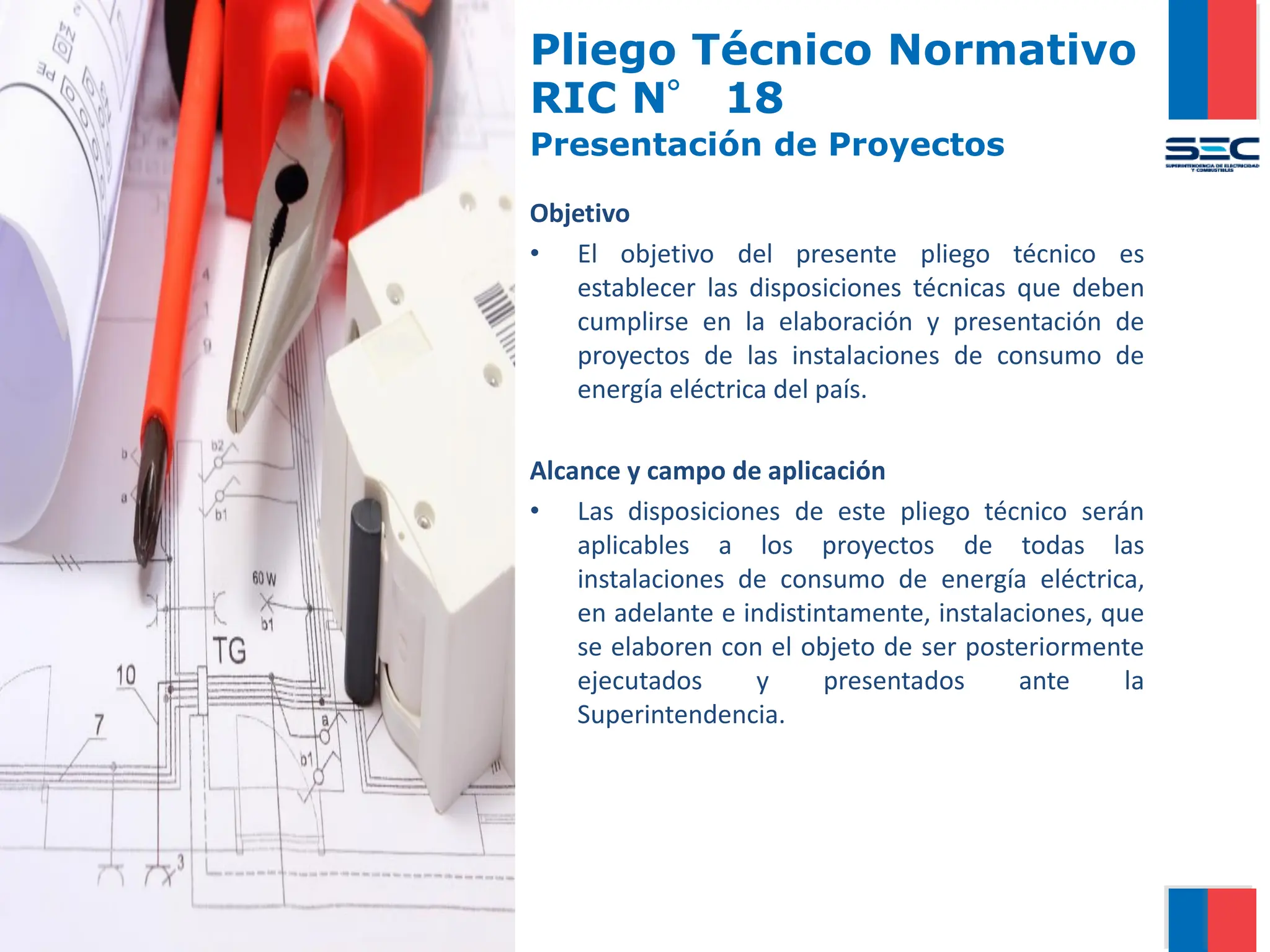 Presentación RIC 18_PresentacióndeProyectos_100821.pdf