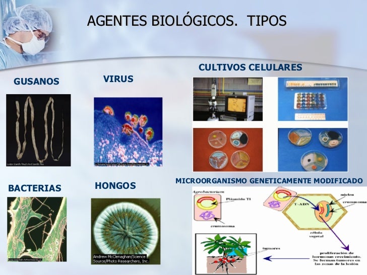 Presentación Riesgo Biologico.