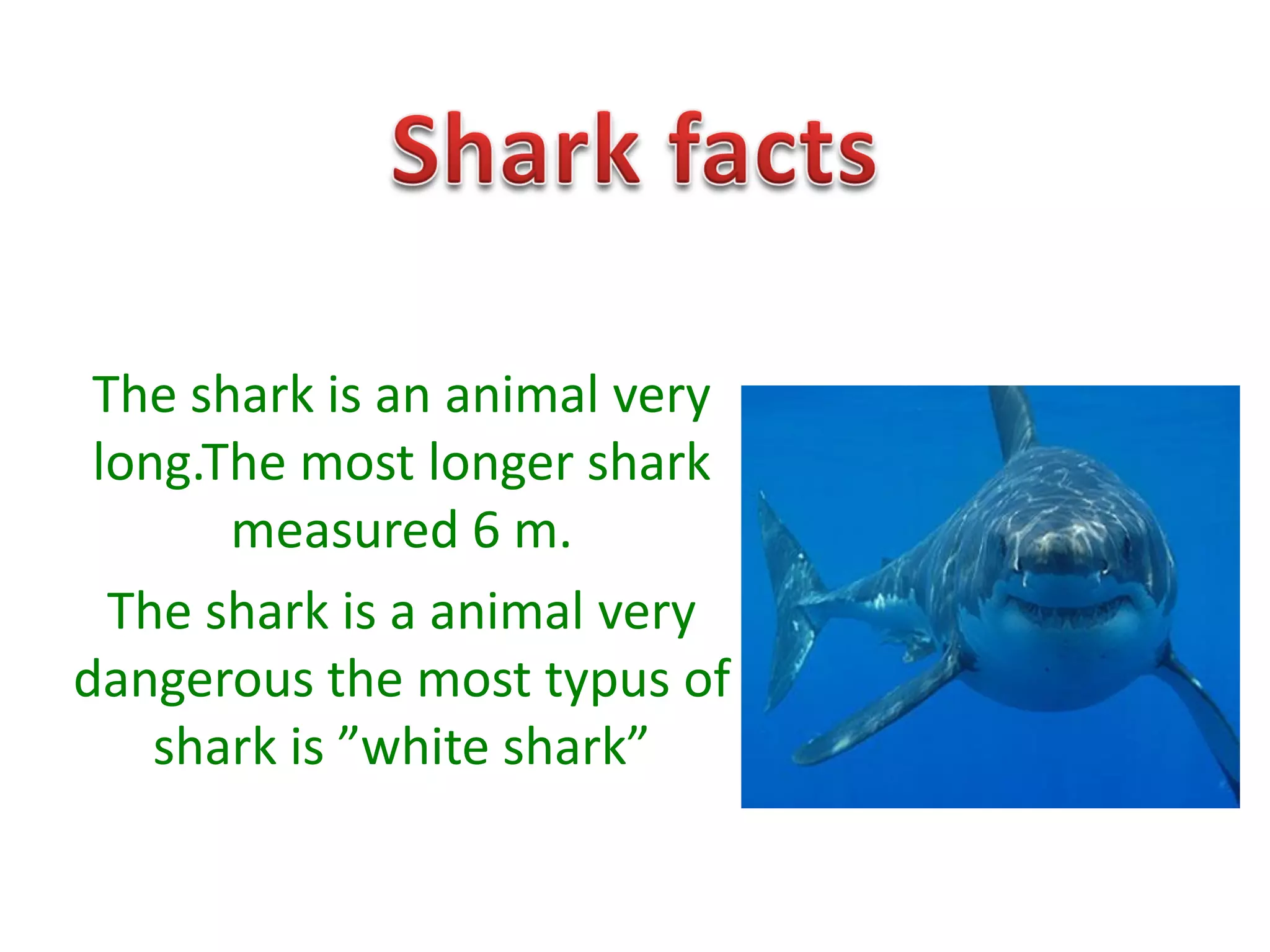 Sharks | PDF | Fish and Aquariums | Pets