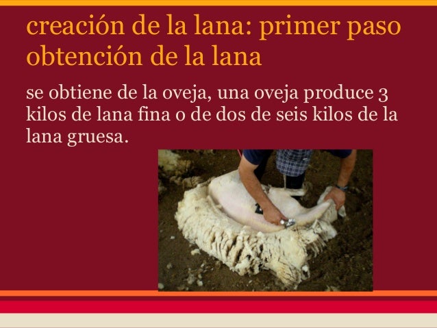 Proceso productivo de la lana