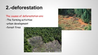 The 4 main environmental problems in Spain | PDF