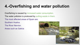 The 4 main environmental problems in Spain | PDF