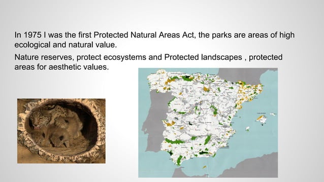 The 4 main environmental problems in Spain | PPT