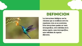 Presentación sobre Ecología Ilustrado Ve | PDF