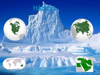 ZONA POLAR !!!!!! | PPT