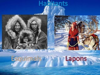 ZONA POLAR !!!!!! | PPTX