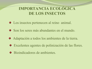 Presentación Taller montaje de insectos.ppt