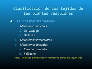 Presentación tejidos vegetales | PPT