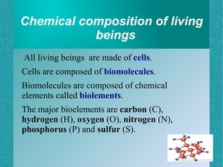 Tema 1 El mantenimiento de la vida | PPT