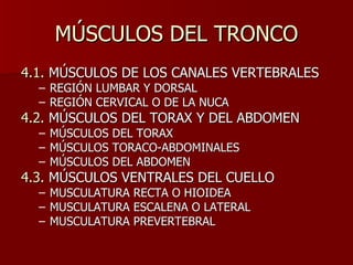 Presentación Tema 4 F.B. MÚSCULOS DEL TRONCO | PPT